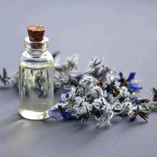 Fine Fragrance – Sensula Perfumes